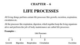 Life Processes - Science - Notes - Teachmint