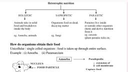 Heterotrophic Nutrition - Science - Notes - Teachmint