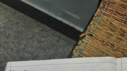 Science - ALL SUBJECTS - Notes - Teachmint