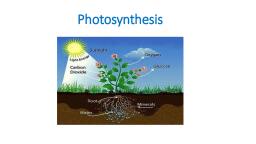 photosynthesis.pdf - Botany - Notes - Teachmint