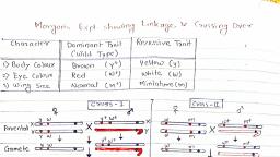 Morgan Experiment Showing Linkage And Crossing Over .jpg - Biology II ...