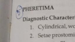 Pheretima - Biology - Notes - Teachmint