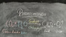 Photosynthesis - Basic Science - Notes - Teachmint
