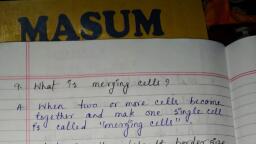 Chapter 8 - Computer - Assignment - Teachmint