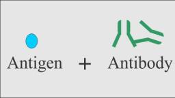 Ag Ab Complex - Biology II - Notes - Teachmint