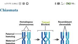 Chromosomes - Chiasmata - Biology - Notes - Teachmint