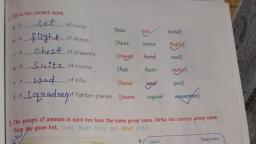 Ch-45- Names Of Groups - G.K - Assignment - Teachmint