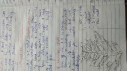 Adventure Sports - Phe - Notes - Teachmint