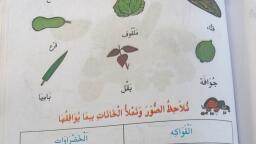 Home Work Monday - Arabic - Assignment - Teachmint