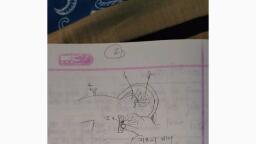 imte 1-B.pdf - IMTE - Notes - Teachmint