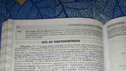Site Of Photosynthesis - Botany - Notes - Teachmint