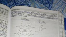 Photosynthesis - Botany - Notes - Teachmint