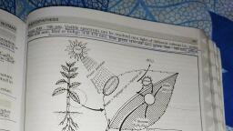 Photosynthesis - Botany - Notes - Teachmint