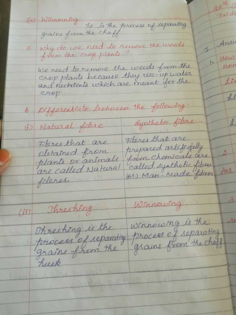 Lesson 1 - Science - Notes - Teachmint