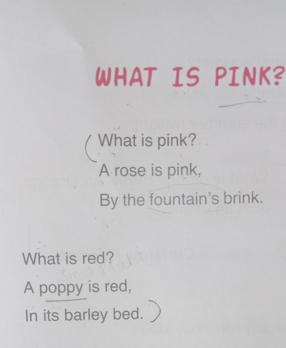 What Is Pink? - ENGLISH - Assignment - Teachmint