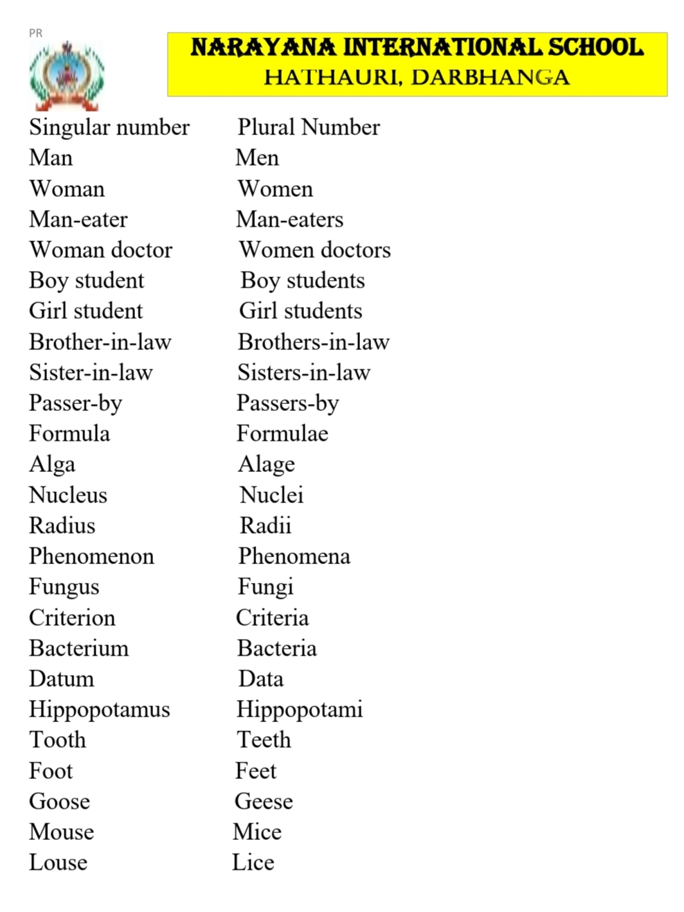 Noun & Number - English - Free PDF Download 2026