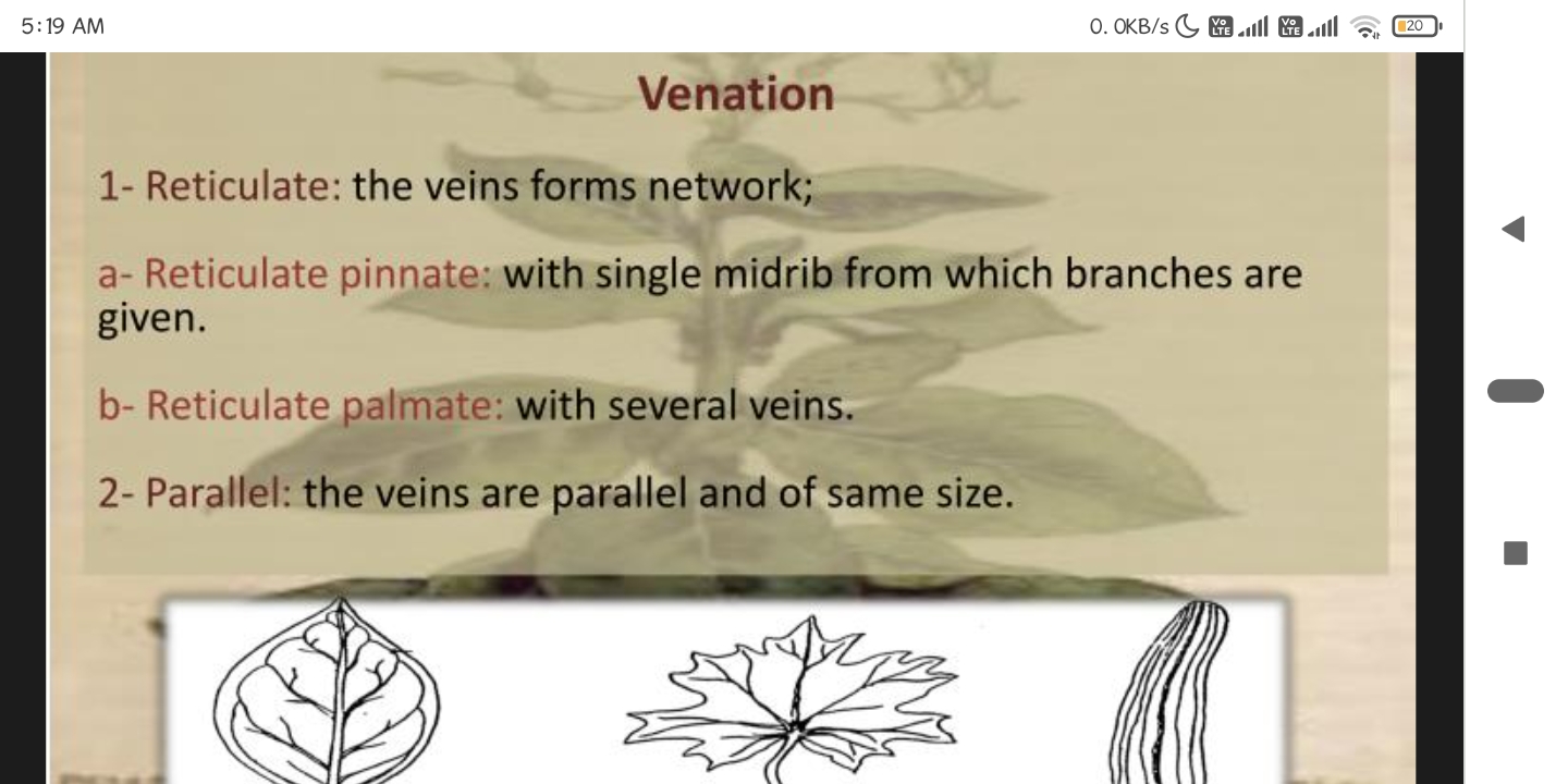 leaf venetion - botany - Notes - Teachmint
