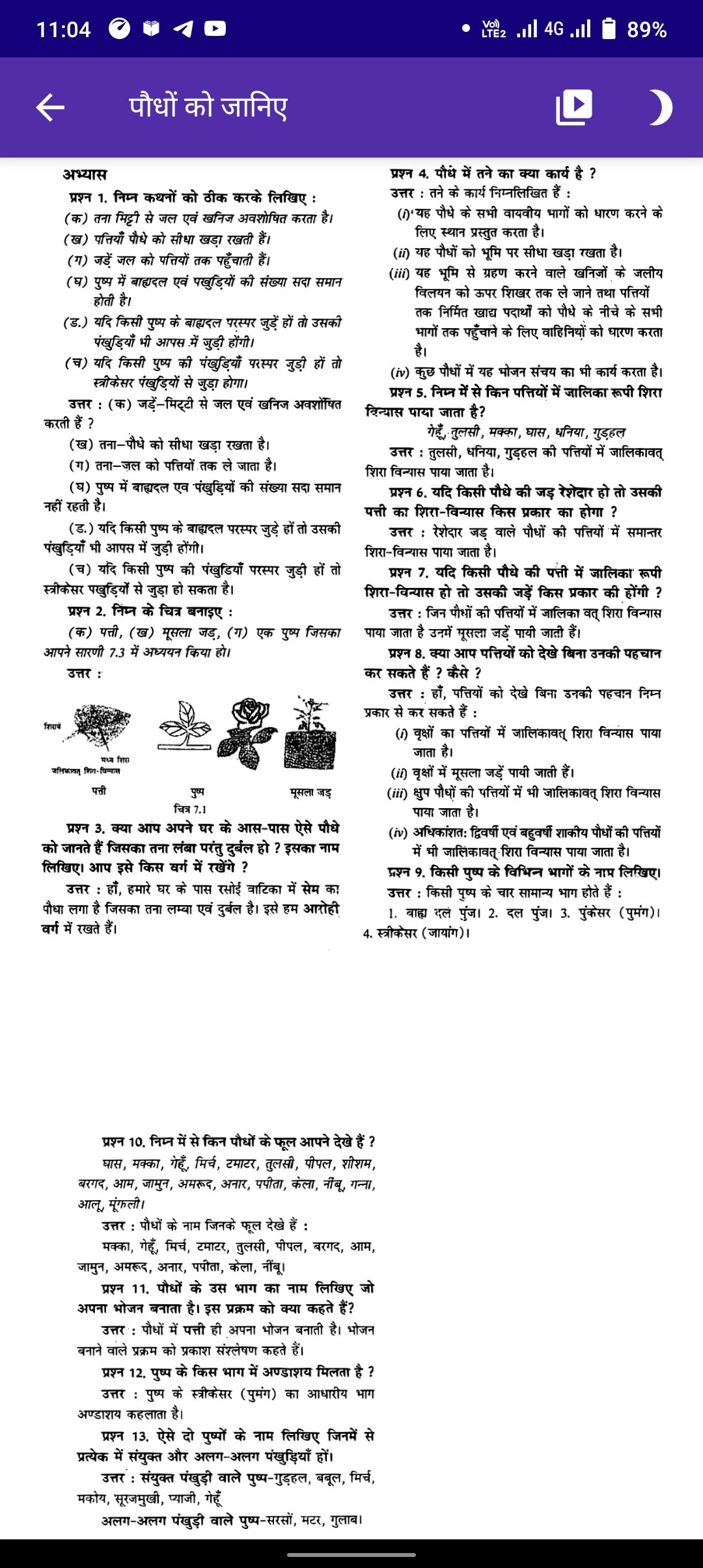 L 7 - Science - Assignment - Teachmint