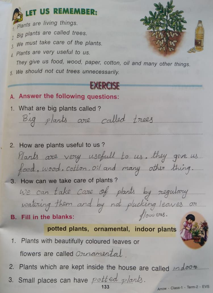 Evs - Eva - Assignment - Teachmint