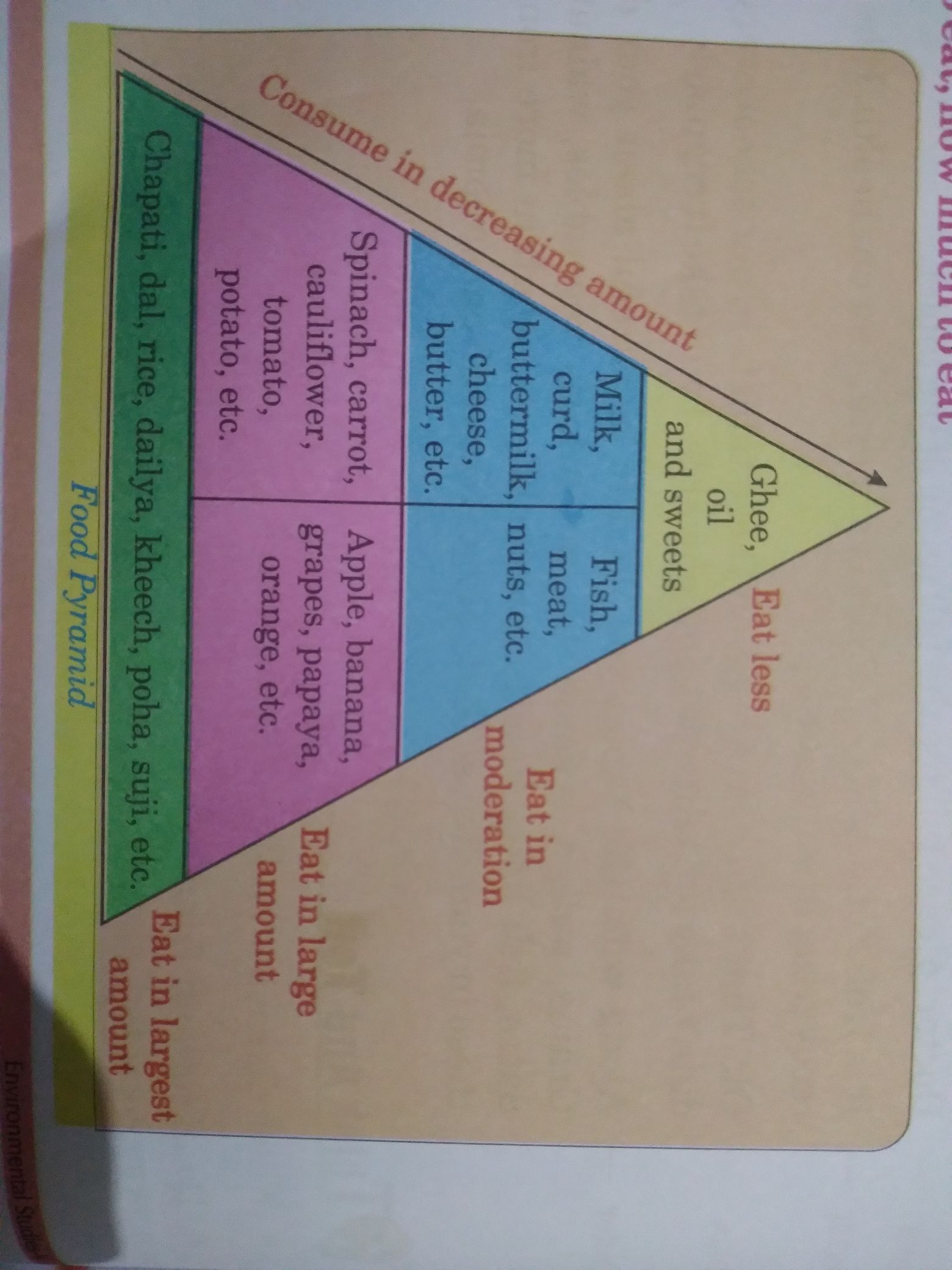 Food Pyramid - Evs - Assignment - Teachmint