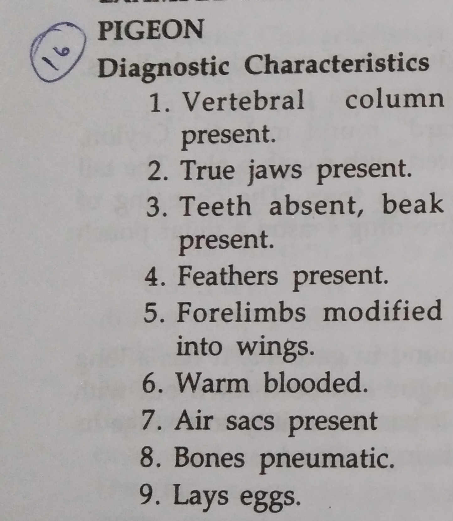 Pigeon - Biology - Notes - Teachmint