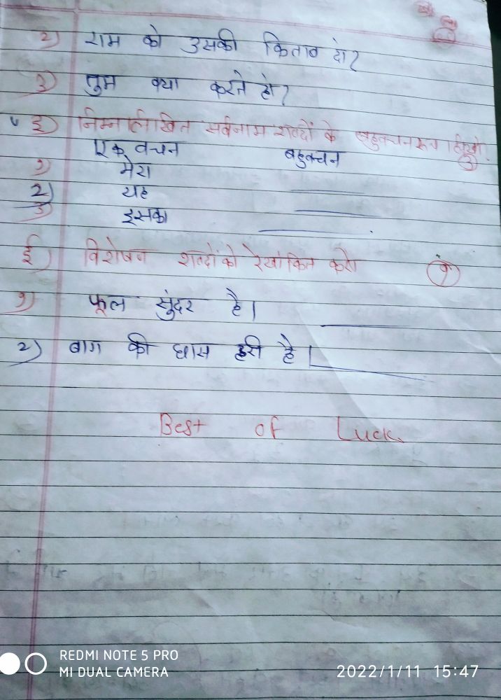 Lesson - Hindi - Assignment - Teachmint