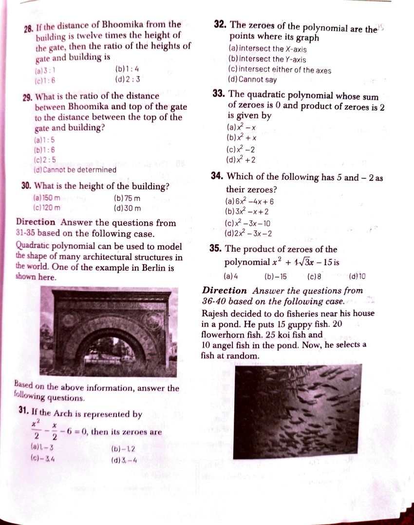 Test On Latest Question Model ,Term 1 - Mathematics - Assignment ...