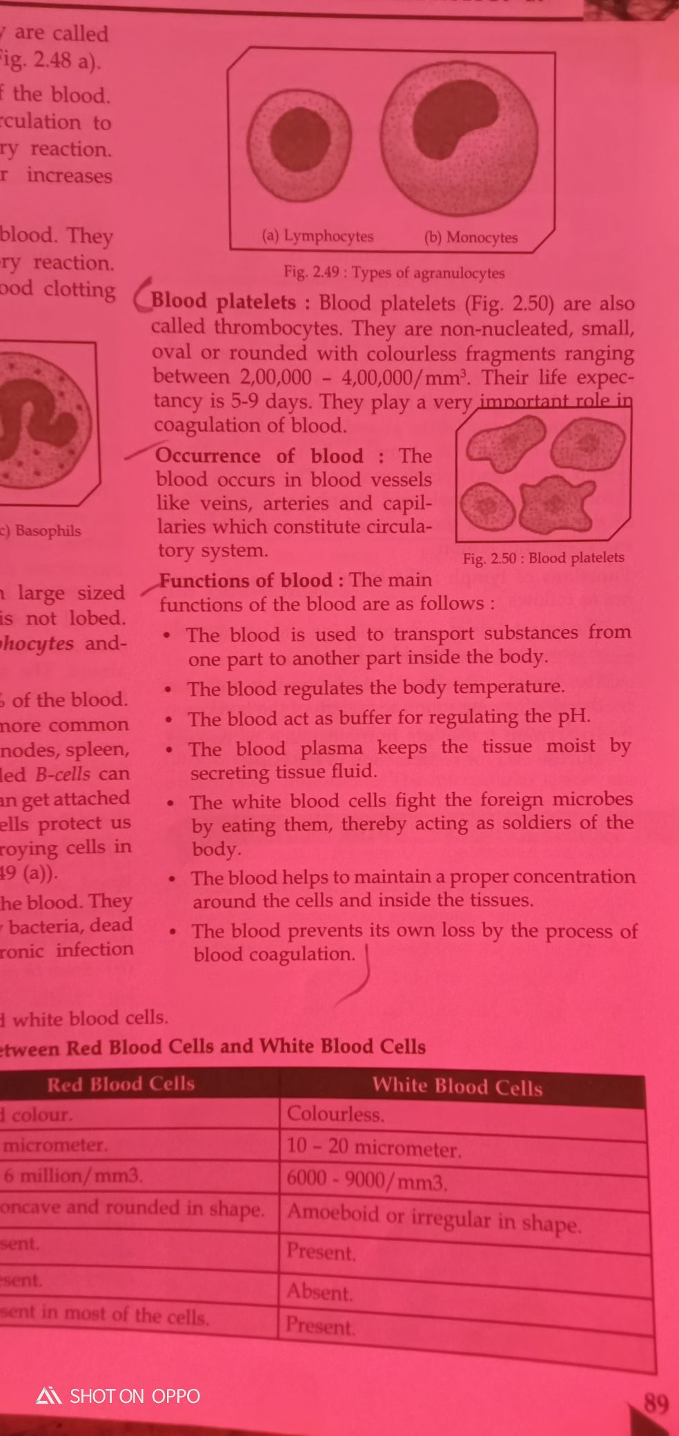 Blood Platelets - Biology - Notes - Teachmint