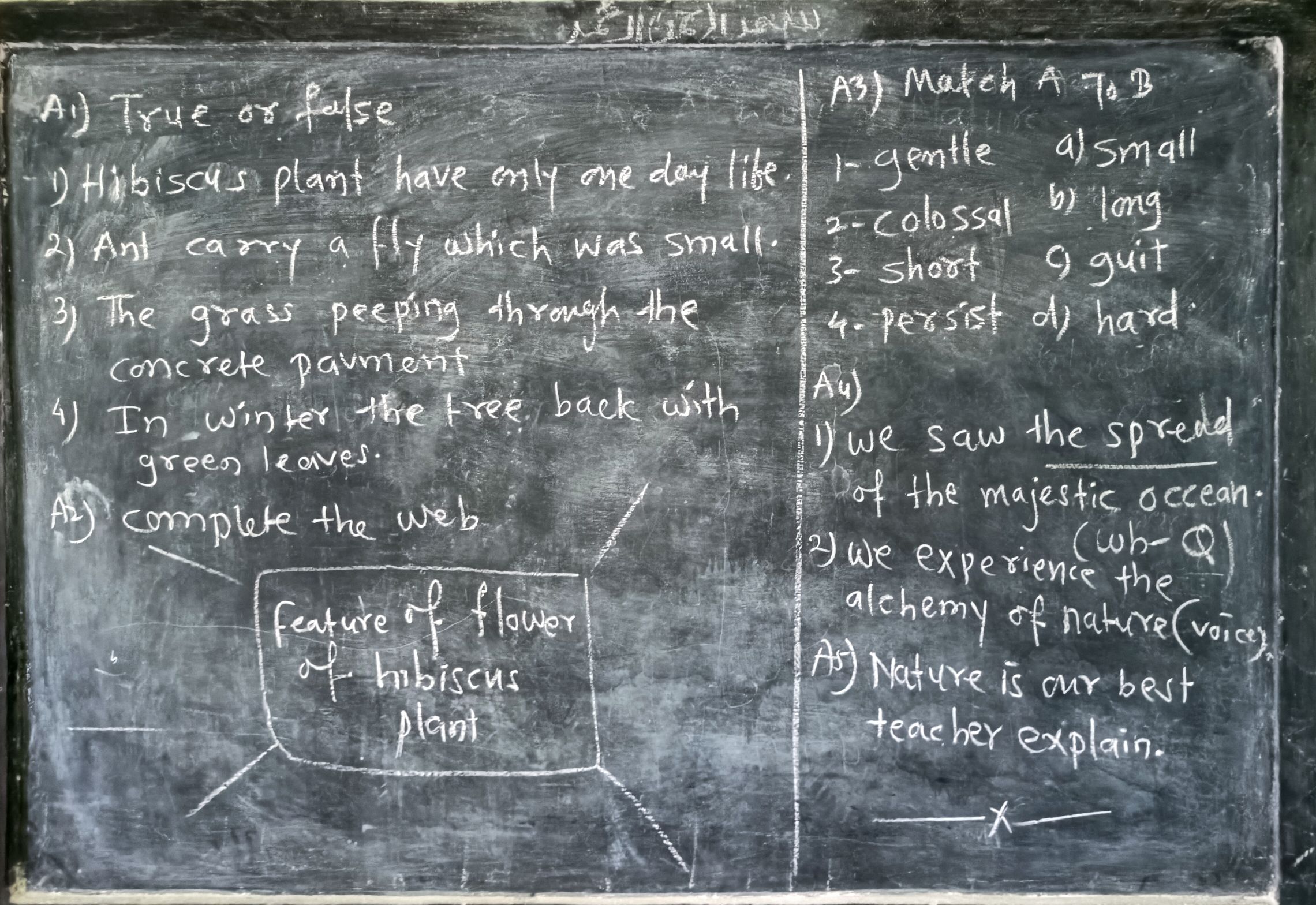 Home Work - English - Assignment - Teachmint