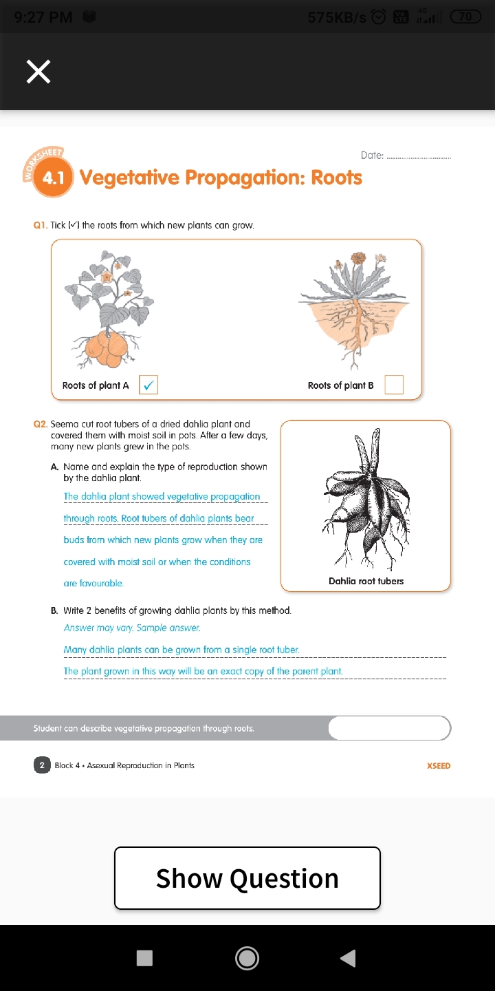 24 1 Reproduction In Flowering Plants Worksheet Answers Best Flower Site