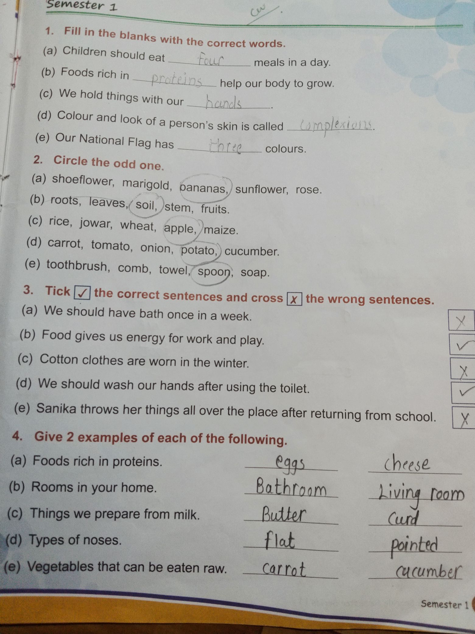 Semester 2 - EVS - Assignment - Teachmint