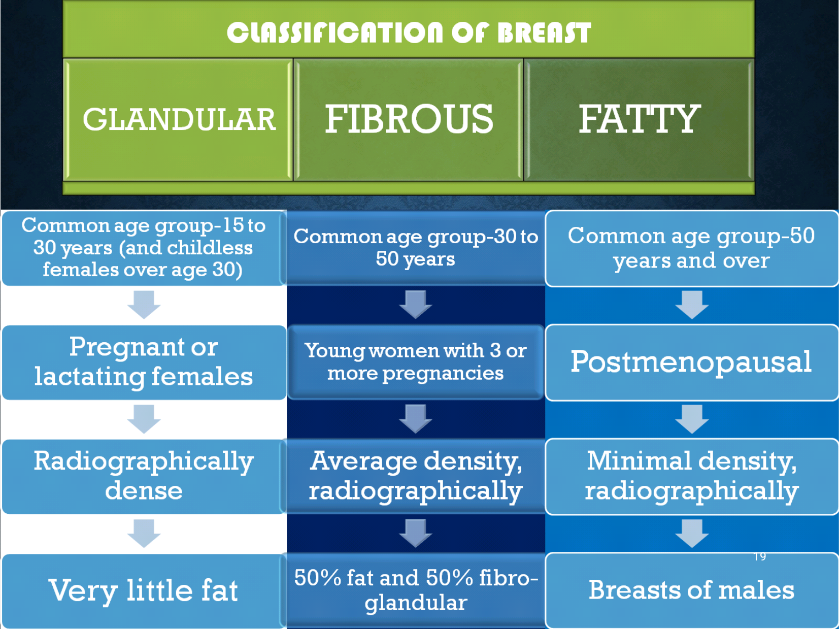 Classification Breast.png - Mammography & Ultrasound - Notes - Teachmint
