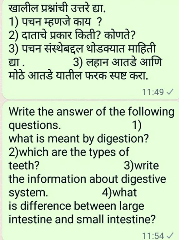Digestive System - Science - Assignment - Teachmint
