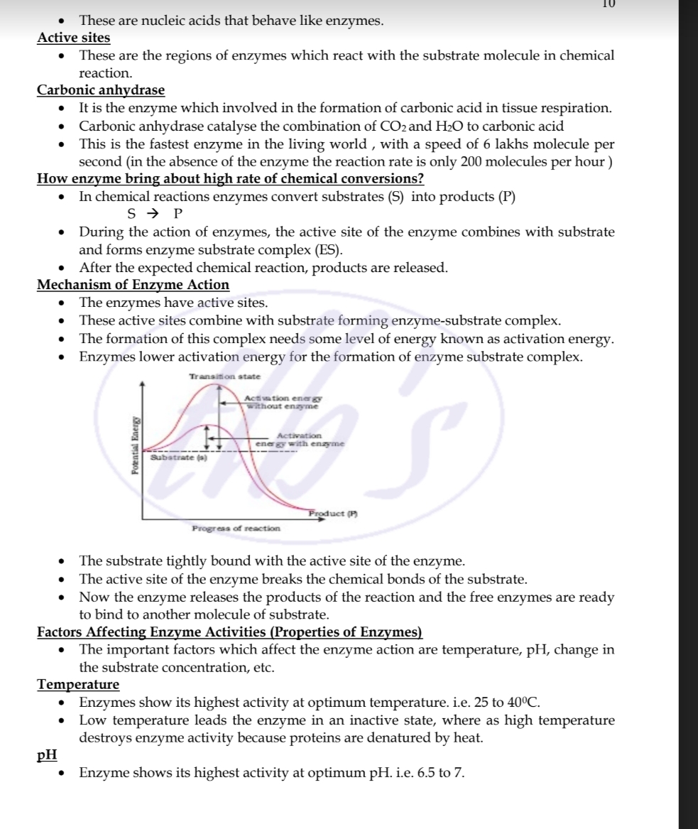 2 - Biology - Notes - Teachmint
