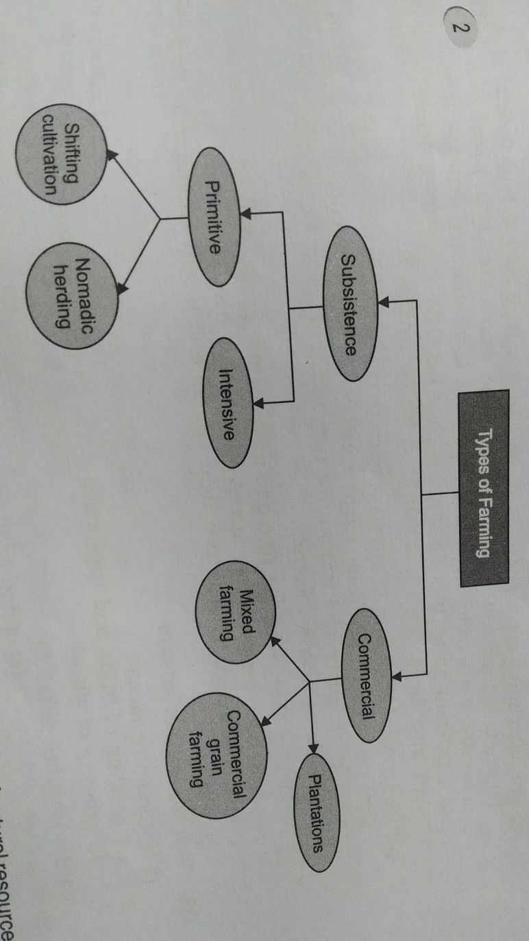 Geography ( Flow Learning) - Social Science - Assignment - Teachmint