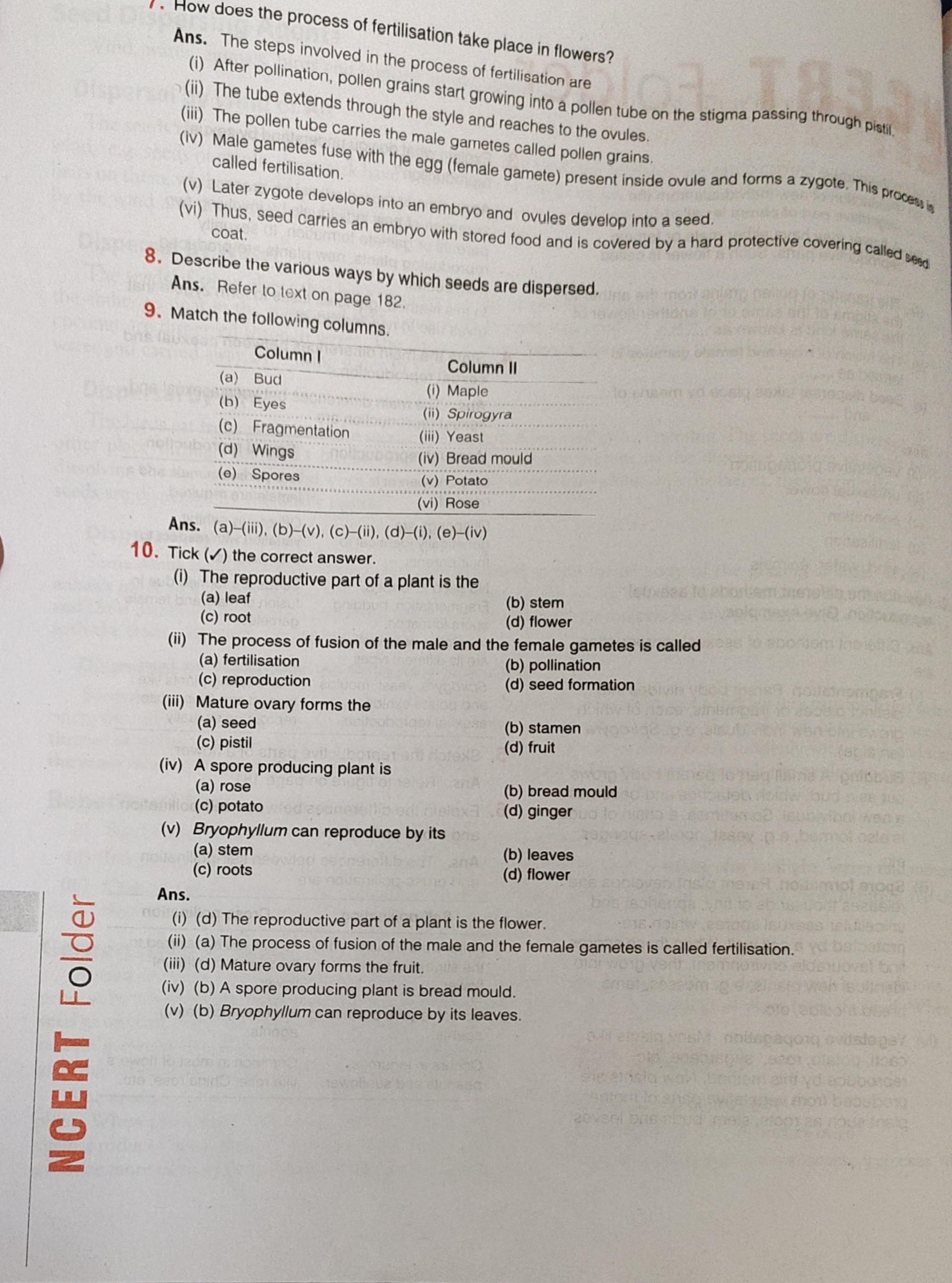 Chapter 12 - Science - Notes - Teachmint