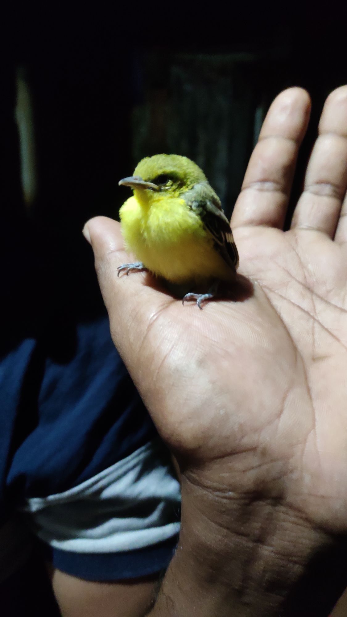 Malayalam - Malayalam - Assignment - Teachmint