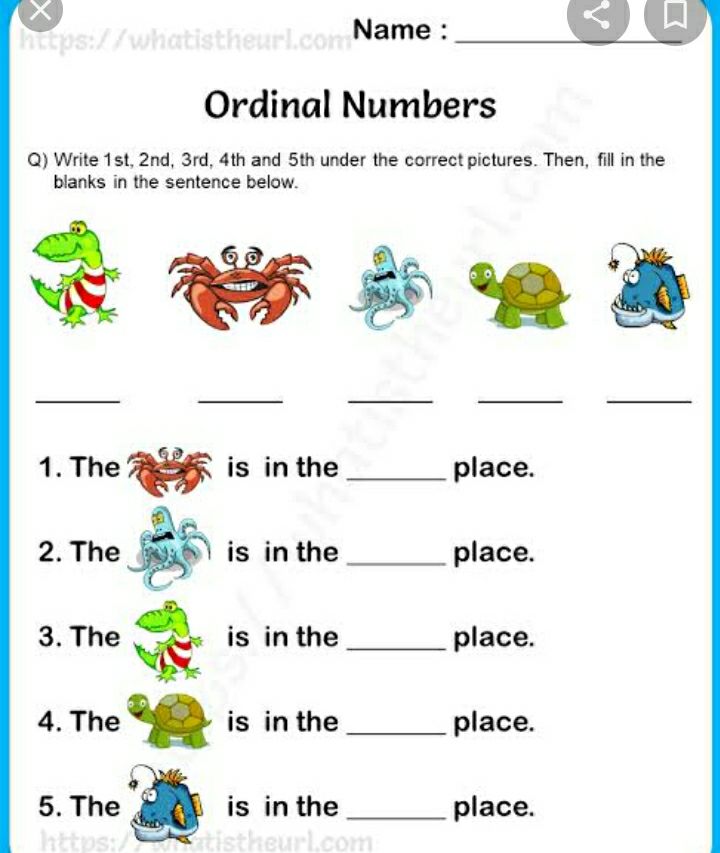 Ordinal Number - Maths - Assignment - Teachmint