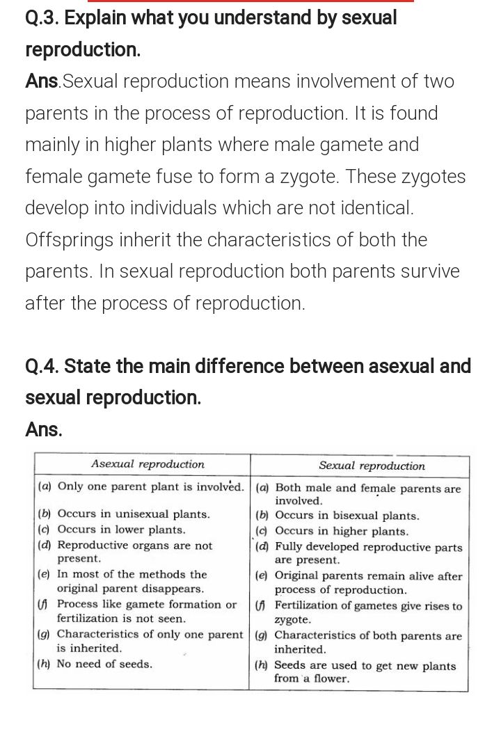Reproduction In Plants Class 7