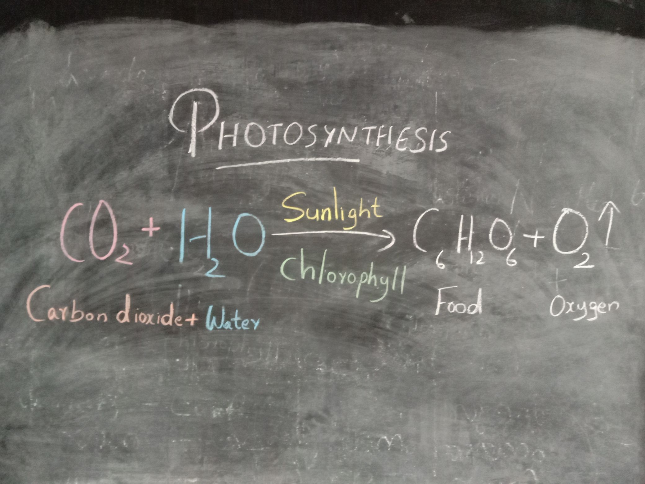 Photosynthesis - Basic Science - Notes - Teachmint