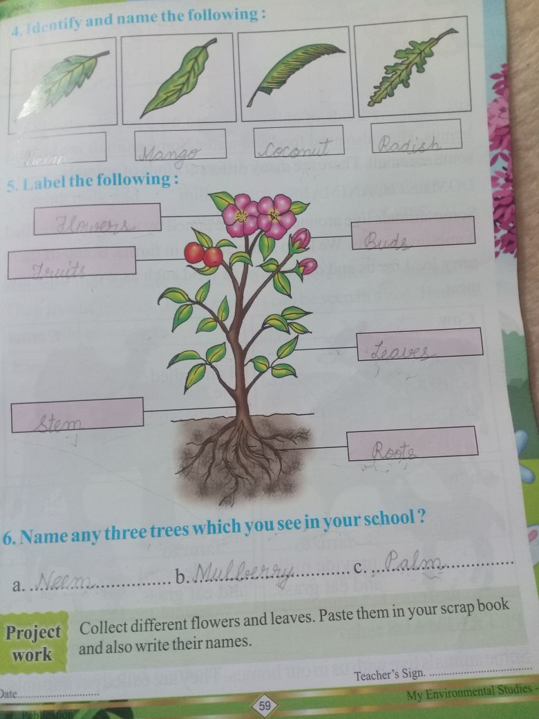 EVS - EVs - Assignment - Teachmint