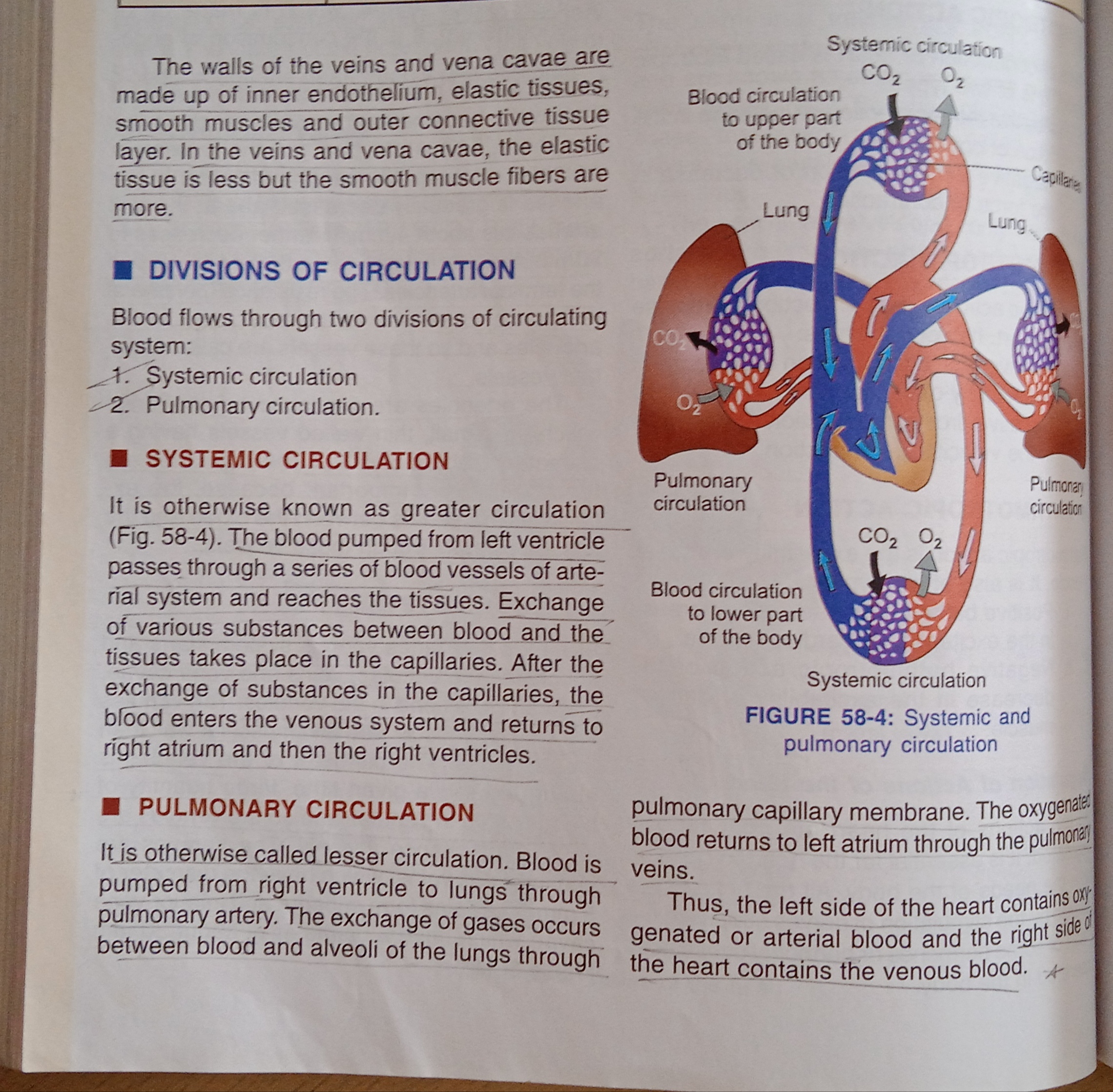 IMG_20220118_094852.jpg - Physiology - Notes - Teachmint