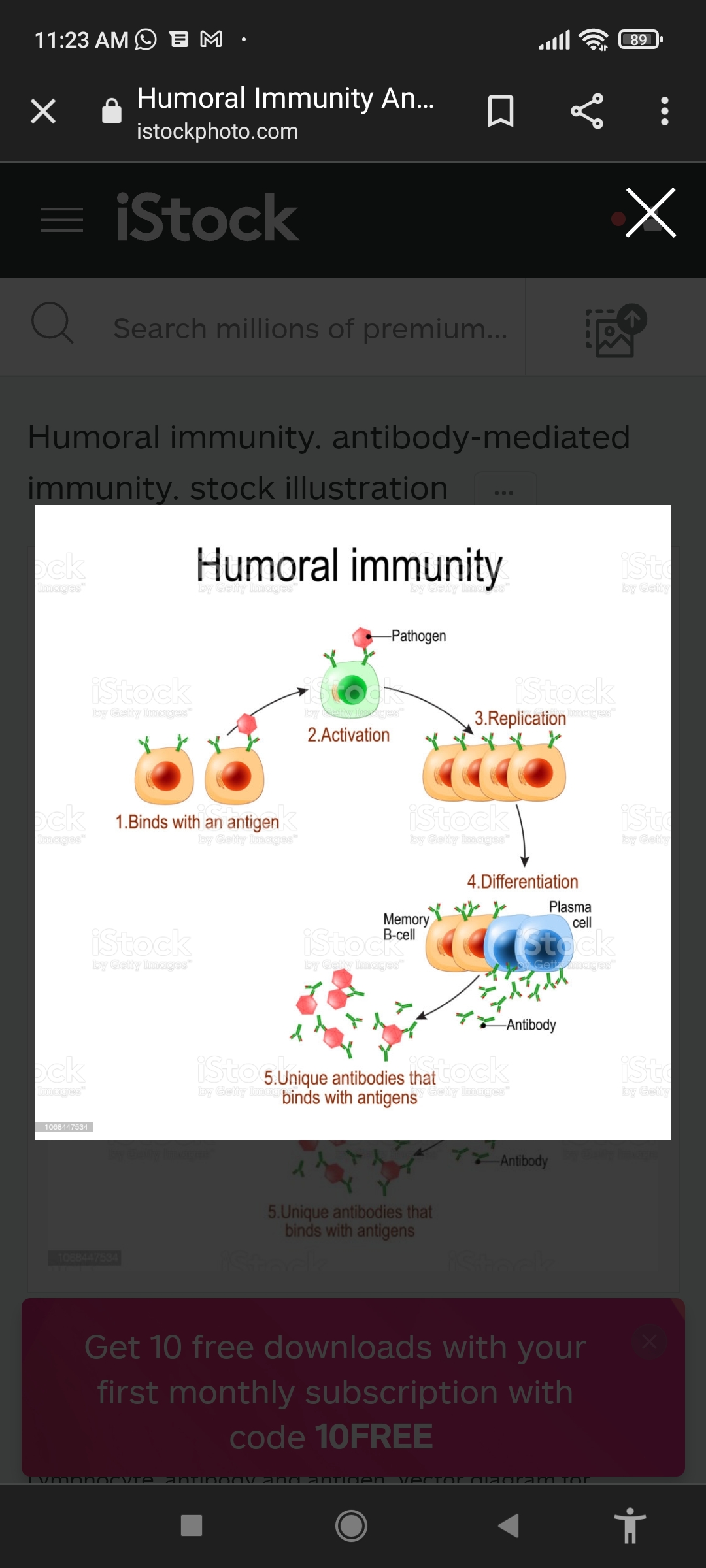 Humoral Immunity - Microbiology - Notes - Teachmint