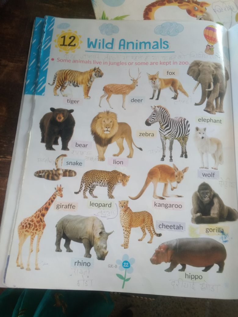 GK - G.K - Assignment - Teachmint