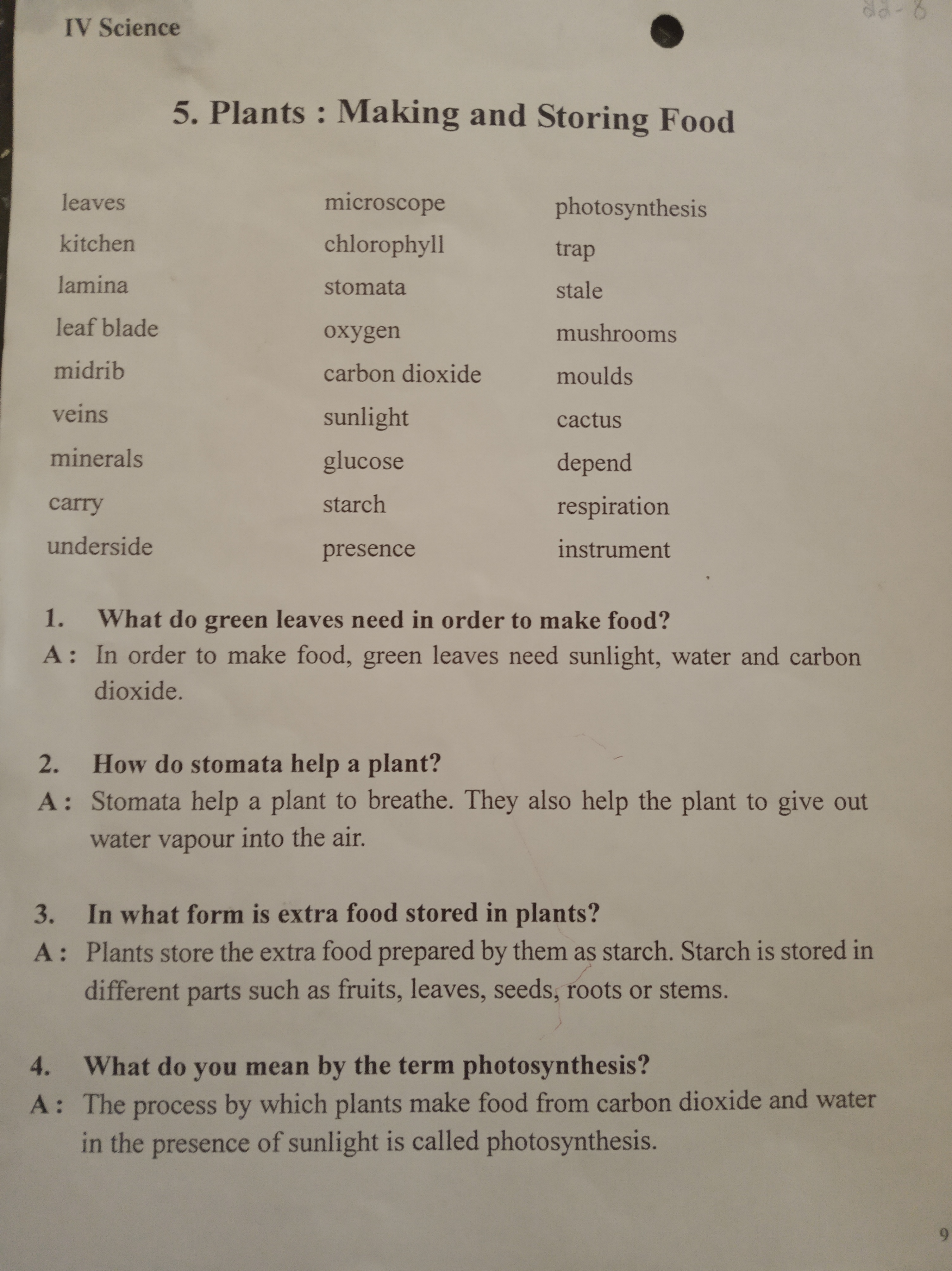 Plants : Making And Storing Food - Science - Free PDF Download 2026
