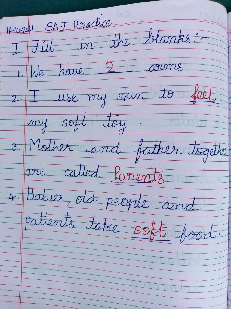 SA-1 Practice Worksheet - Evs - Assignment - Teachmint