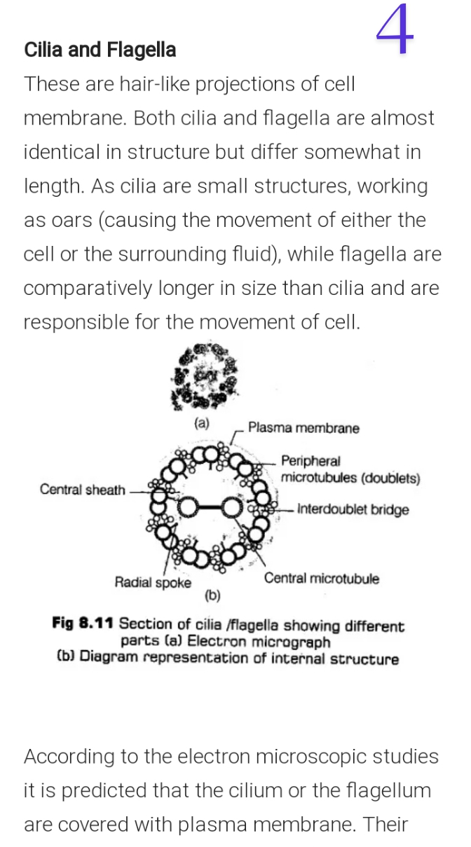 8.4 - Biology - Notes - Teachmint