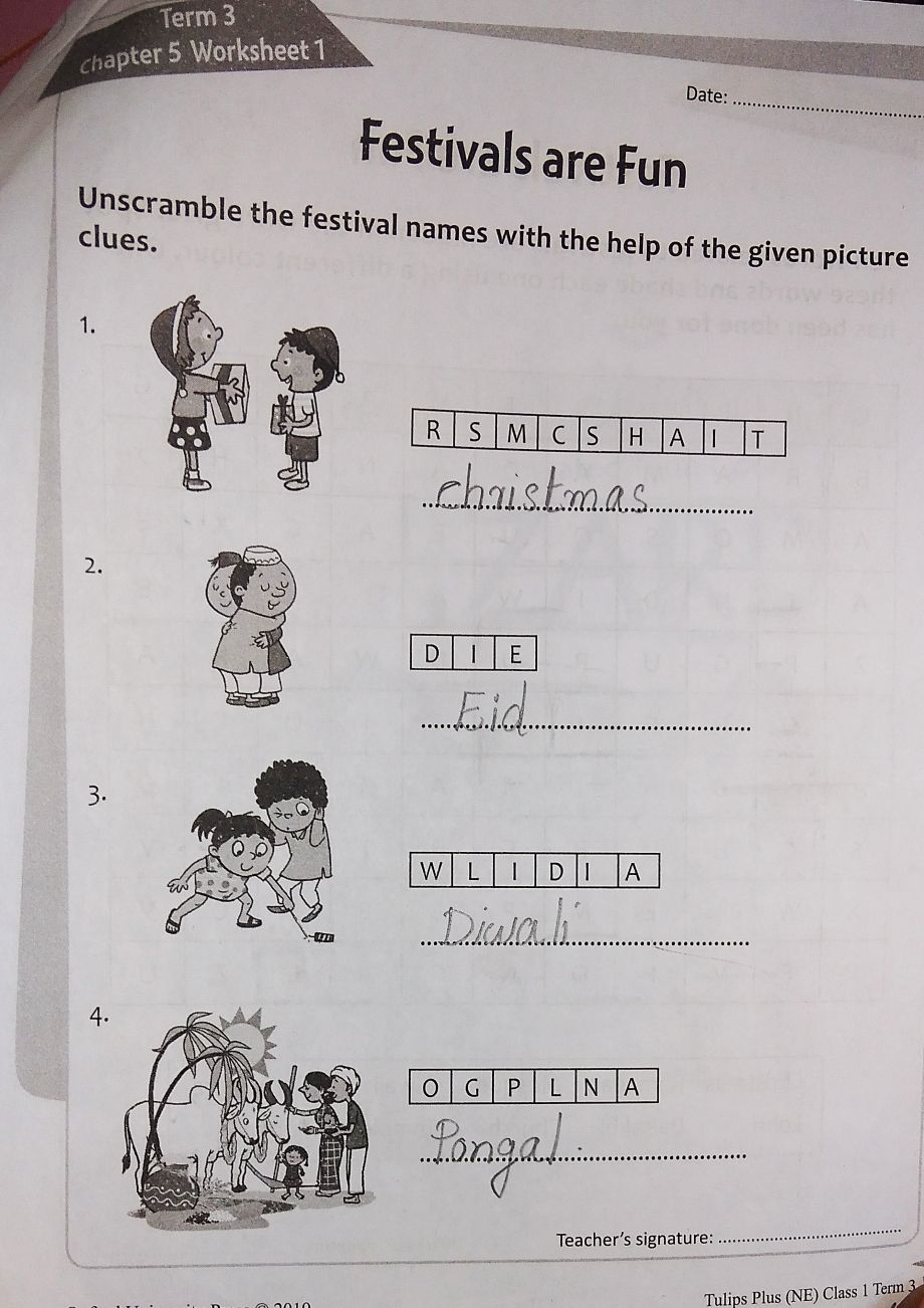 5.Festivals are fun - EVS - Assignment - Teachmint