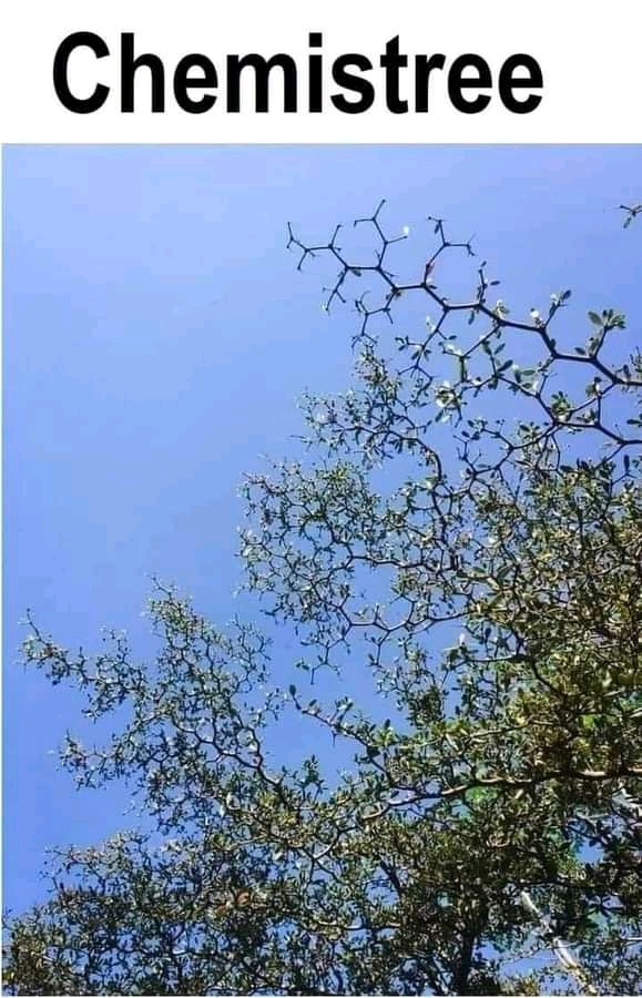 Chemistree - Chemistry - Notes - Teachmint