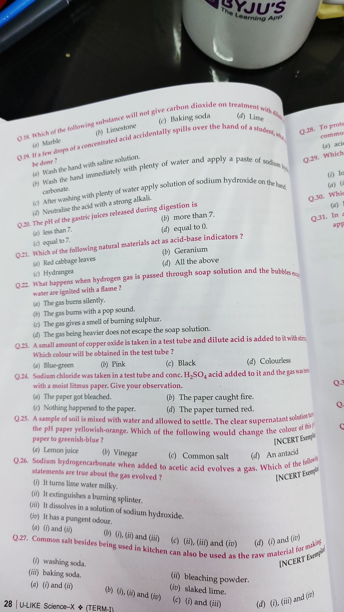 Acid ,Bases &Salt - Science - Assignment - Teachmint